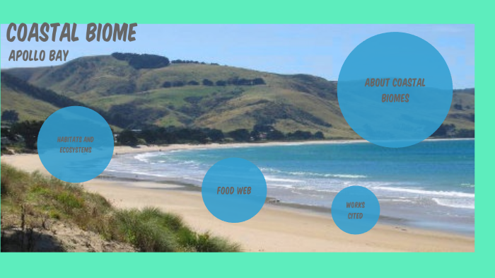 Coastal Biome by Grace Dennewitz on Prezi