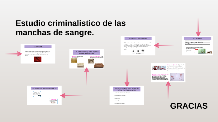 Estudio criminalistico de las manchas de sangre. by Mairim Moreno Rizo ...