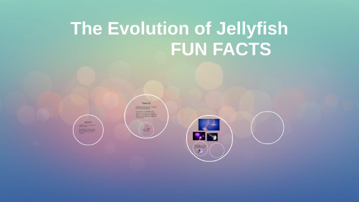 The Evolution of Jellyfish by on Prezi