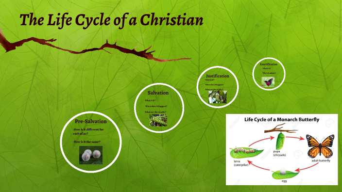 The Lifecycle of a Christian by noah ellis on Prezi