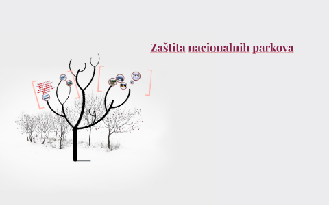 Zaštita nacionalnih parkova by Anja Racic on Prezi