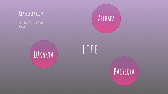 Classification of Eukarya, Archaea, and Bacteria by Cakey Ai on Prezi