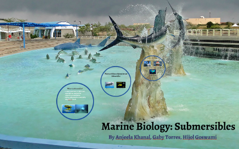 Marine Biology Presentation by Hijol G on Prezi