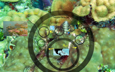 Andros Barrier Reef by on Prezi
