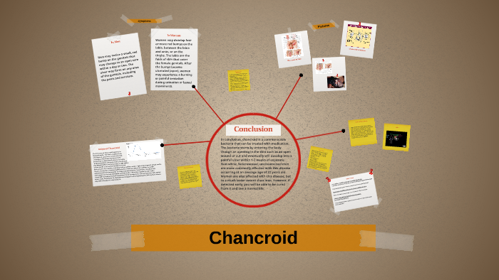 Chancroid by Jeffrey Heredia on Prezi