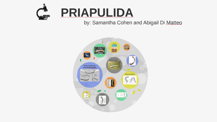 Priapulida by Abigail Rose on Prezi