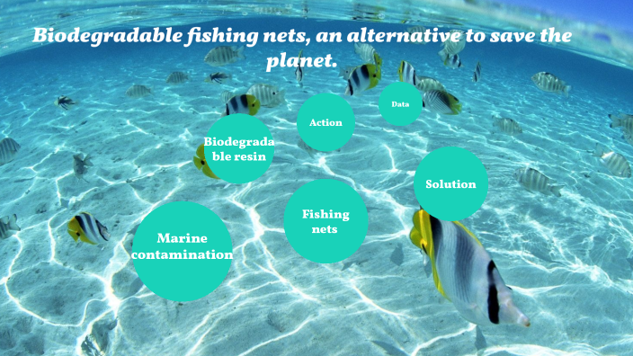 Biodegradable fishing nets by Vein Mar on Prezi