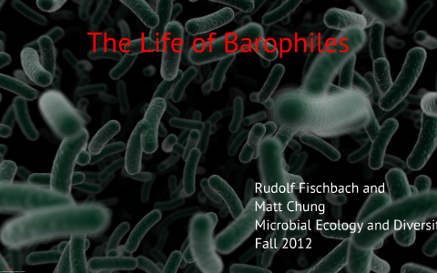 Barophiles by Rudy Fisch on Prezi