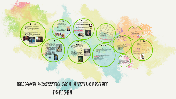Human growth and development project by Zoie Lipfert