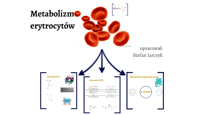 Metabolizm erytrocytów by Stefan Jarczyk on Prezi