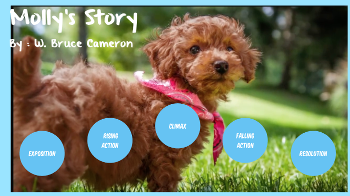 Molly's Story by Nicole Withey on Prezi