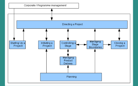 The Programme Management Approach by Sharon Heeks on Prezi