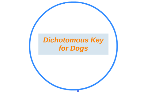Dichotomous Key for Dogs by CJ Crawford on Prezi