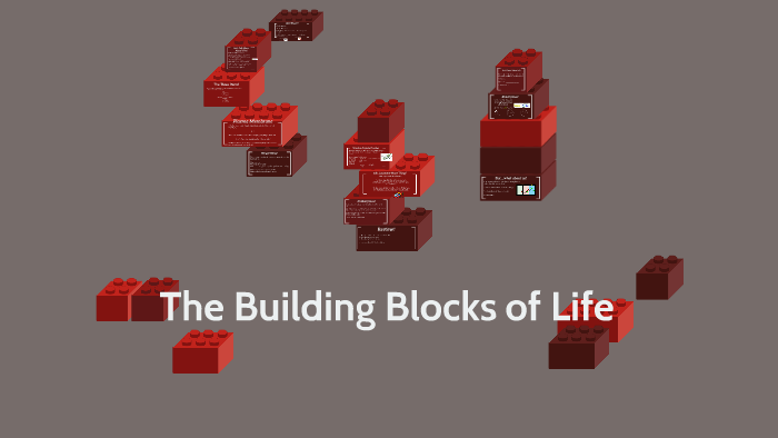 The Building Blocks of Life by Matt Swajkowski on Prezi