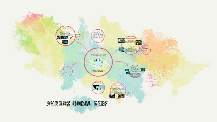 Andros Coral Reef by cambria fromel on Prezi