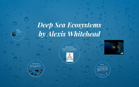 Marine Ecosystem Project by Alexis Whitehead on Prezi