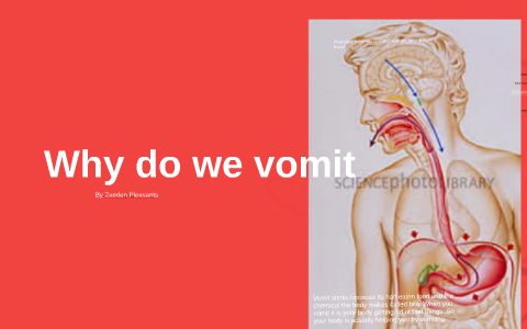 Why do we vomit by ZAEDEN Pleasants on Prezi