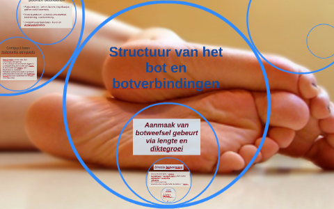 Structuur van bot en botverbindingen by Voetcentrum Verweij on Prezi