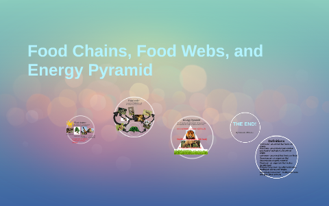 Food Chains, Food Webs, and Energy Pyramid by makaila williams on Prezi