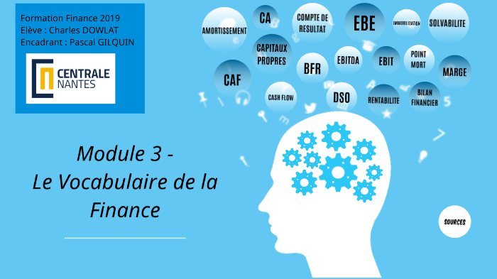 Module 3 - le Vocabulaire du Monde de la Finance by Charles Dowlat on Prezi