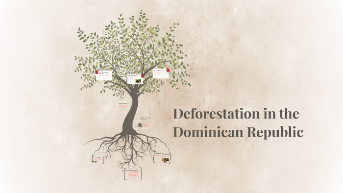 Deforestation in the Dominican Republic by Robyn Willmot on Prezi