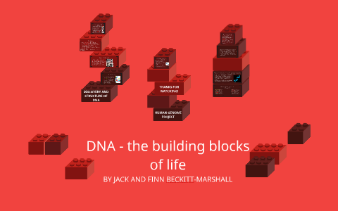 DNA - the building blocks of life by Finn Beckitt-Marshall on Prezi