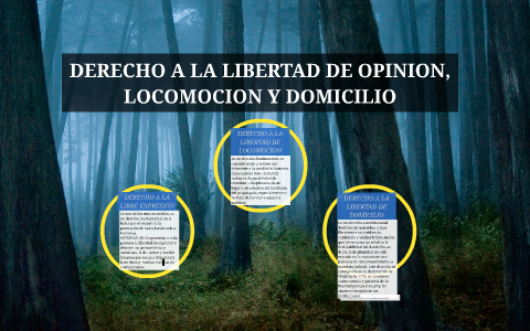DERECHO A LA LIBERTAD DE OPINION, LOCOMOCION Y DOMICILIO by on Prezi