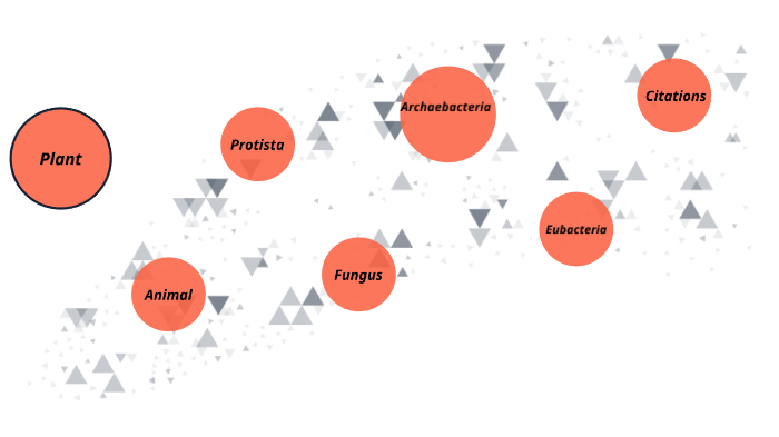 Module Ten Lesson One Pathway Three Activity by Isaac Adrovet on Prezi