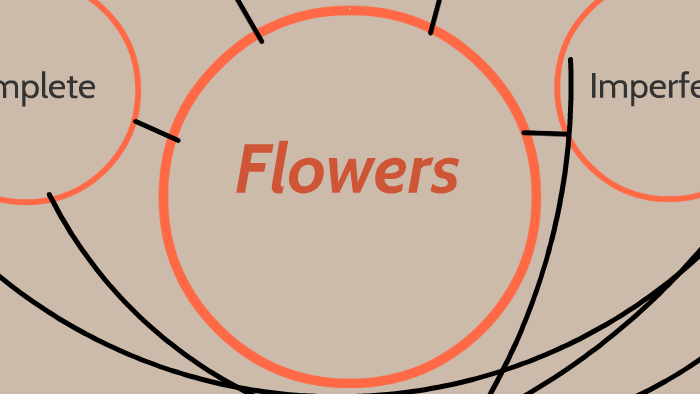 Flower Concept Map by Abbey Anderson on Prezi