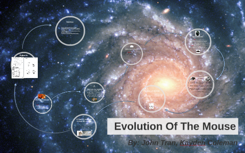 Evolution Of The Mouse by John Tran on Prezi