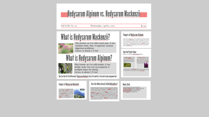 Hedysarum Alpinum Root