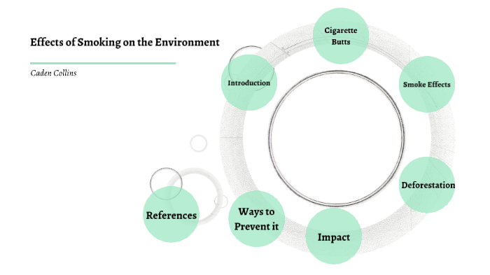 Effects Smoking has on the Environment by Caden Collins on Prezi