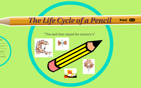 The Life Cycle of a Pencil by Georgia Mc on Prezi