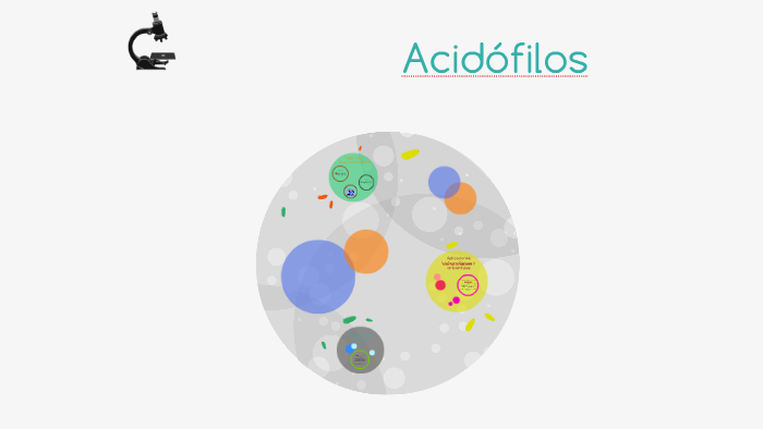 Acidófilos by Yaiza De La Fuente Pérez on Prezi
