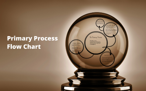 Primary Process Flow Chart by on Prezi