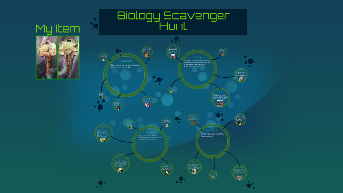 Biology Scavenger Hunt by Eric Heideman on Prezi