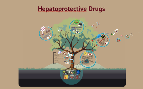 Hepatoprotective Drugs by Amal Effat on Prezi