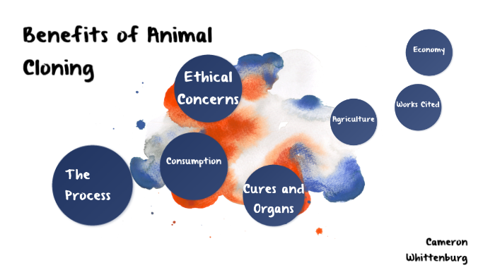 Benefits of Animal Cloning by Cameron Whittenburg on Prezi