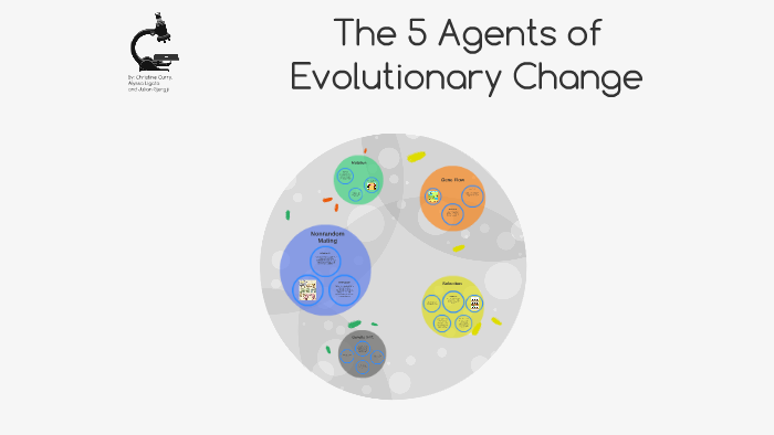 The 5 Agents of Evolutionary Change by Christine Curry on Prezi Next