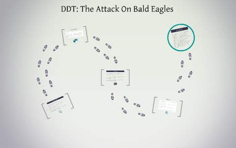 DDT: The Attack On Bald Eagles by Shayna Barrett on Prezi