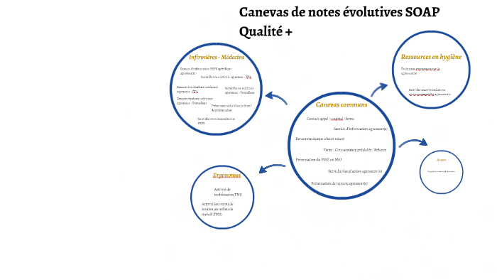 Canevas de notes évolutives SOAP Qualité + by Nathalie Bourdeau on Prezi