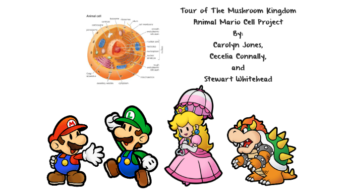 Mario Cell Project by Carolyn Jones on Prezi