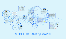 MEDIUL OCEANIC ŞI MARIN by Radu Andreea on Prezi