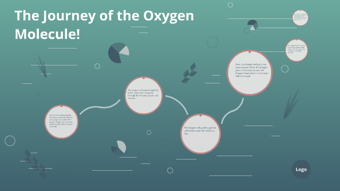 The Journey of the Oxygen Molecule! by Justyne Anderson on Prezi