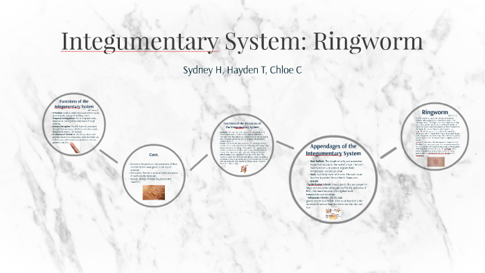 Integumentary System: Ringworm by Sydney Hewett on Prezi