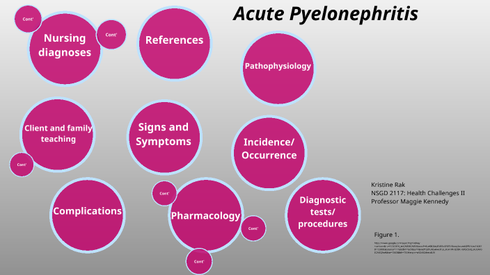 Pyelonephritis Pathophysiology