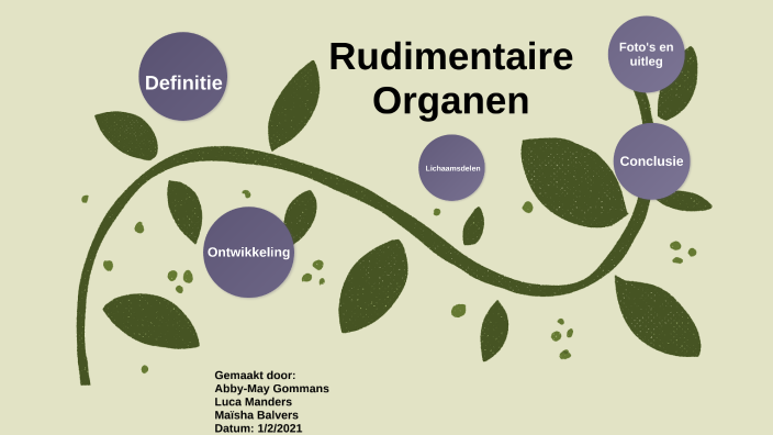 Rudimentaire organen by AbbyMay Gommans on Prezi