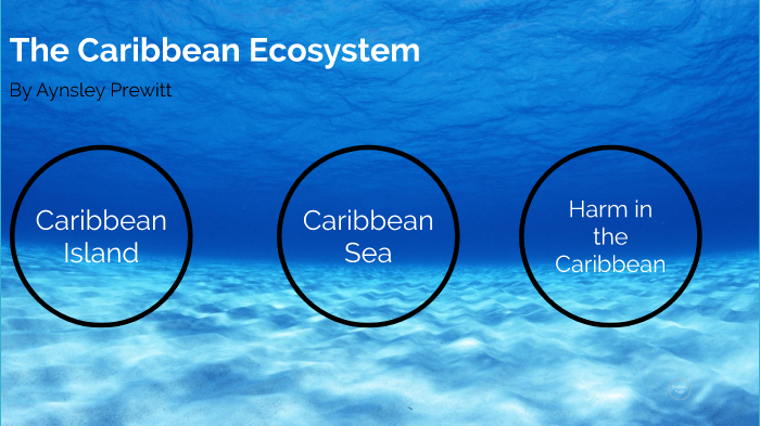 The Caribbean Ecosystem by Aynsley Prewitt on Prezi