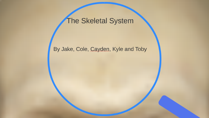 Skeletal system by Jake Arrington on Prezi