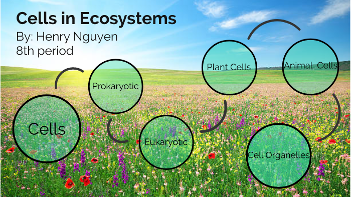 Cells in Ecosystems by Henry Nguyen on Prezi
